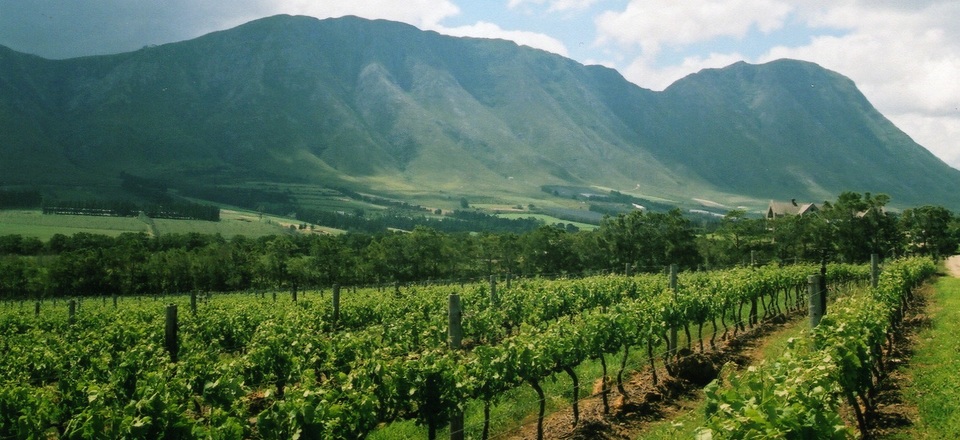 Hermanus - Town Website - Hermanus South Africa - Xplorio™