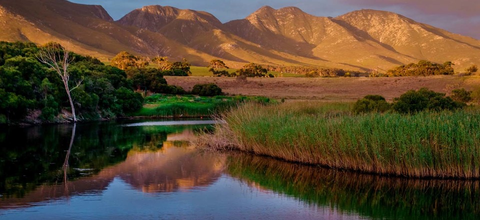Stanford - Town Website - Stanford Western Cape - Xplorio™