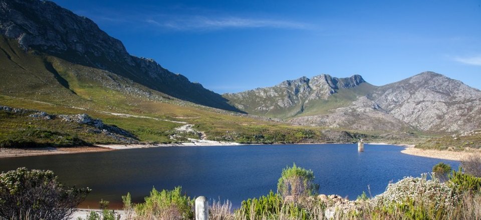 Pringle Bay - Town Website - Pringle Bay South Africa