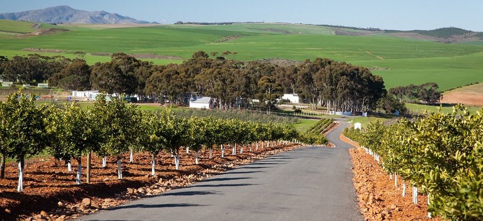 Botrivier - Town Website - Botrivier South Africa - Xplorio™