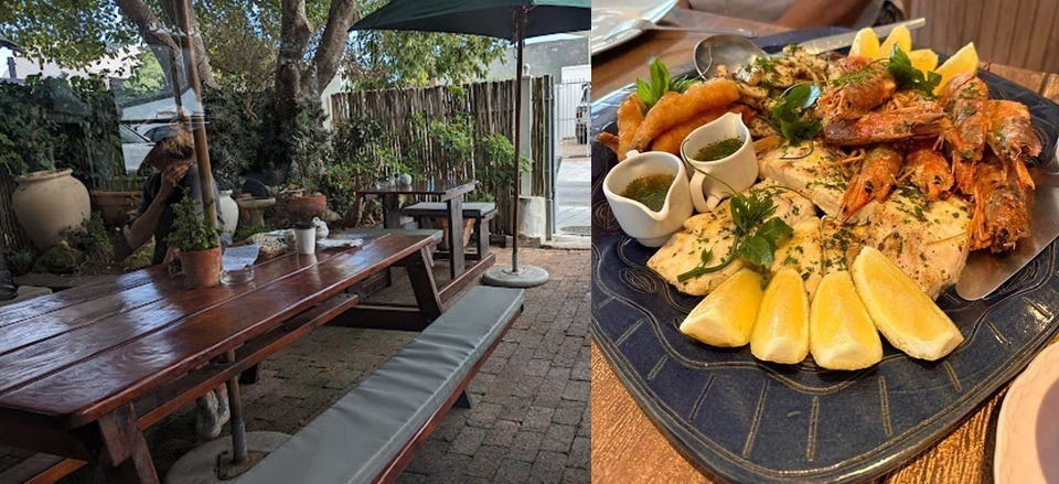 The Cuckoo Tree | Xplorio Hermanus