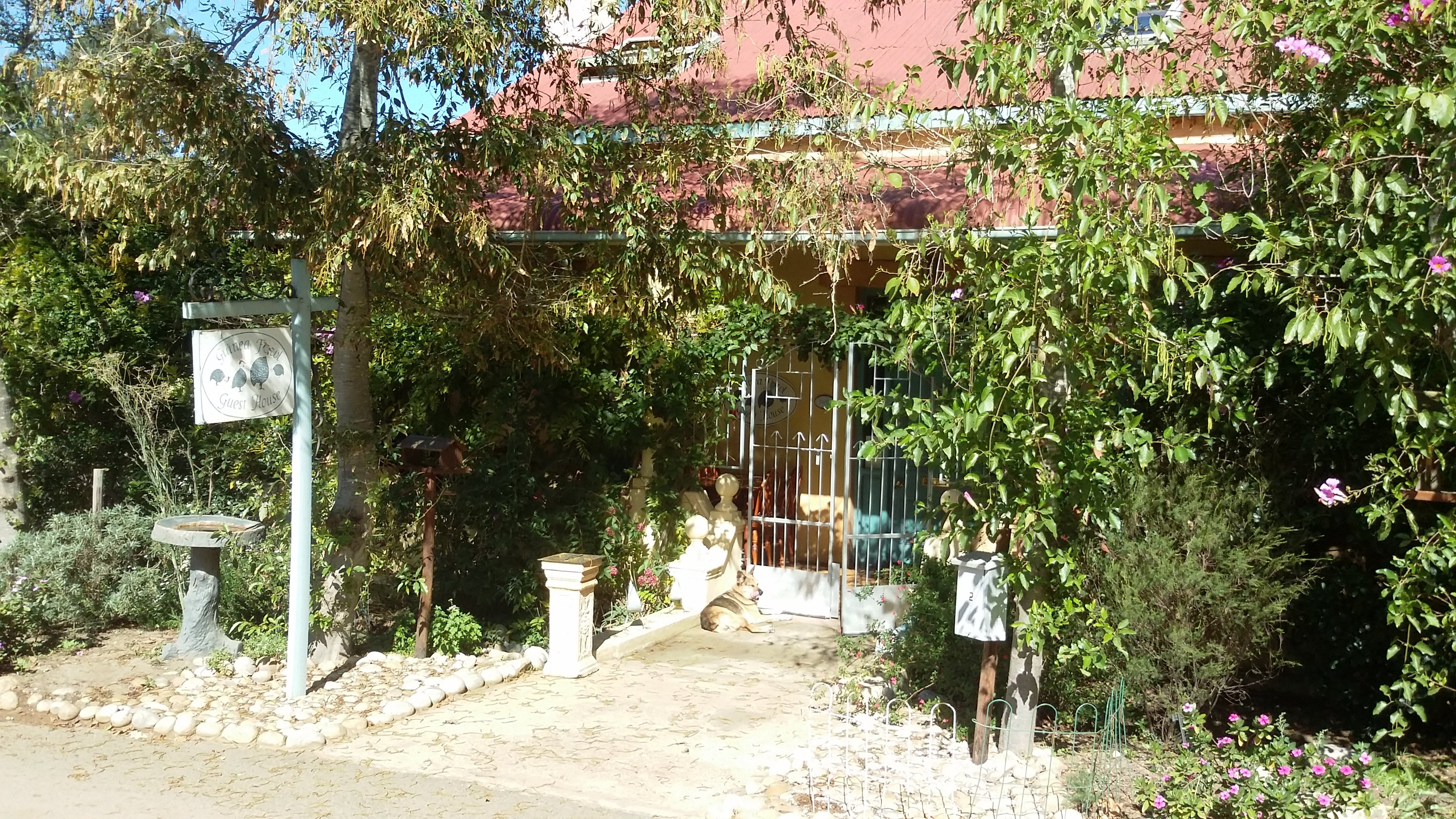 Guinea Fowl Houses For Sale at Emma Gibney blog