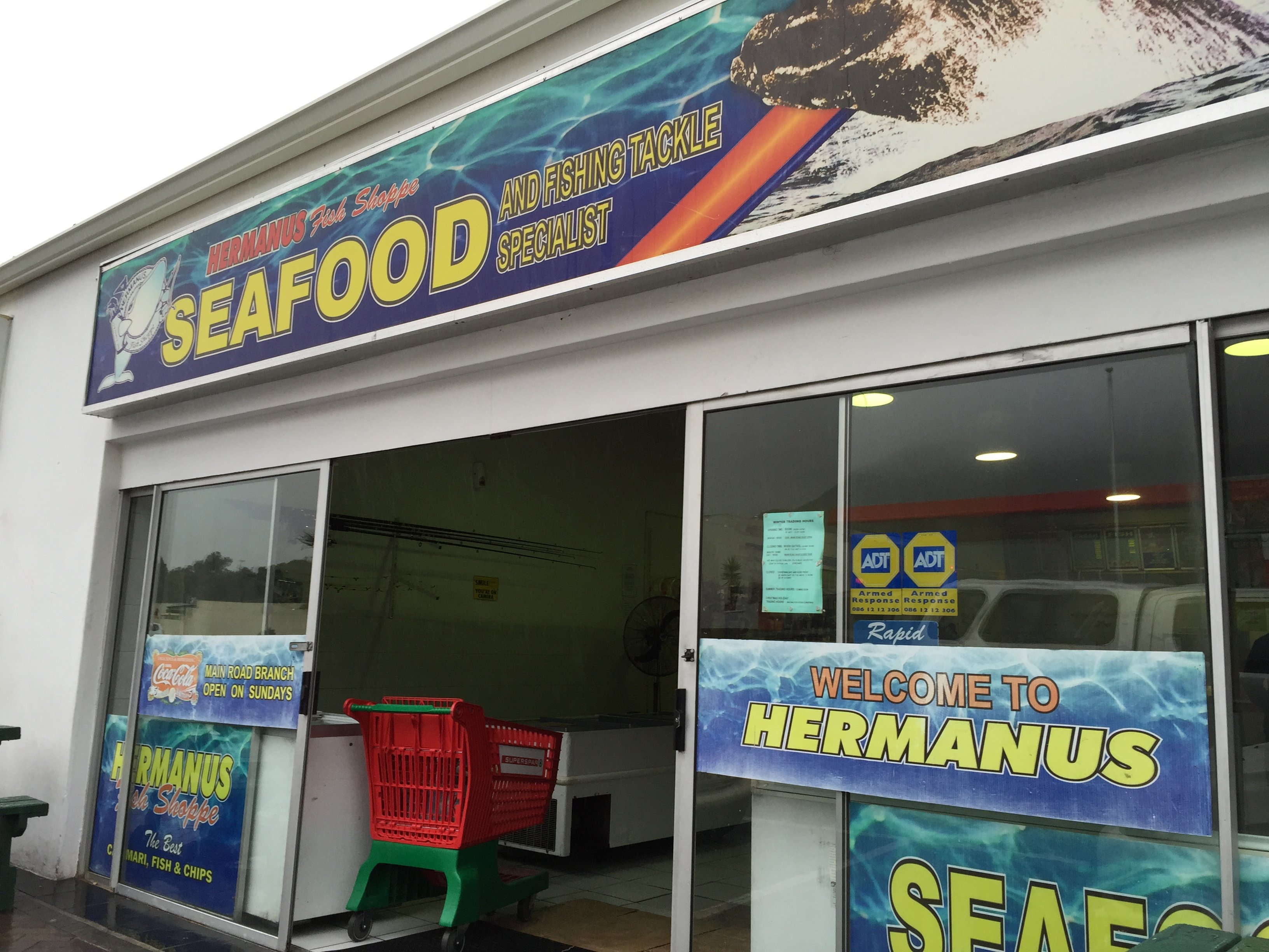 Hermanus Fish Shoppe | Xplorio Hermanus