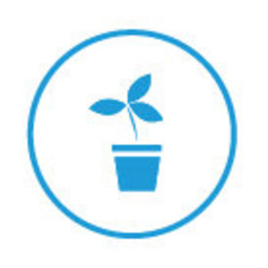 Safe Storage | Xplorio Hermanus