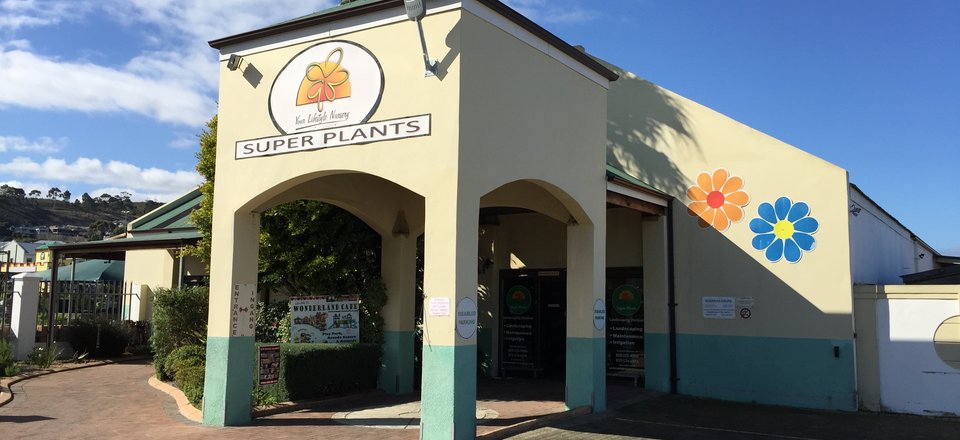 Wonderland Lifestyle Nursery | Xplorio Hermanus