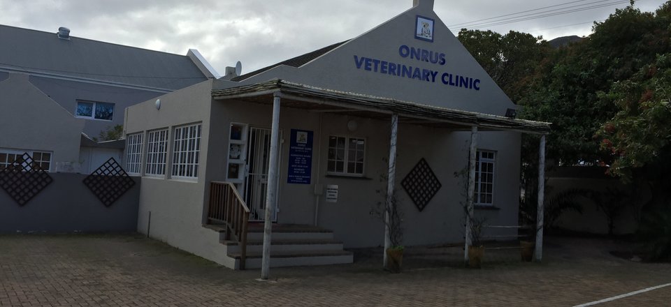 Onrus Veterinary Clinic | Xplorio Hermanus