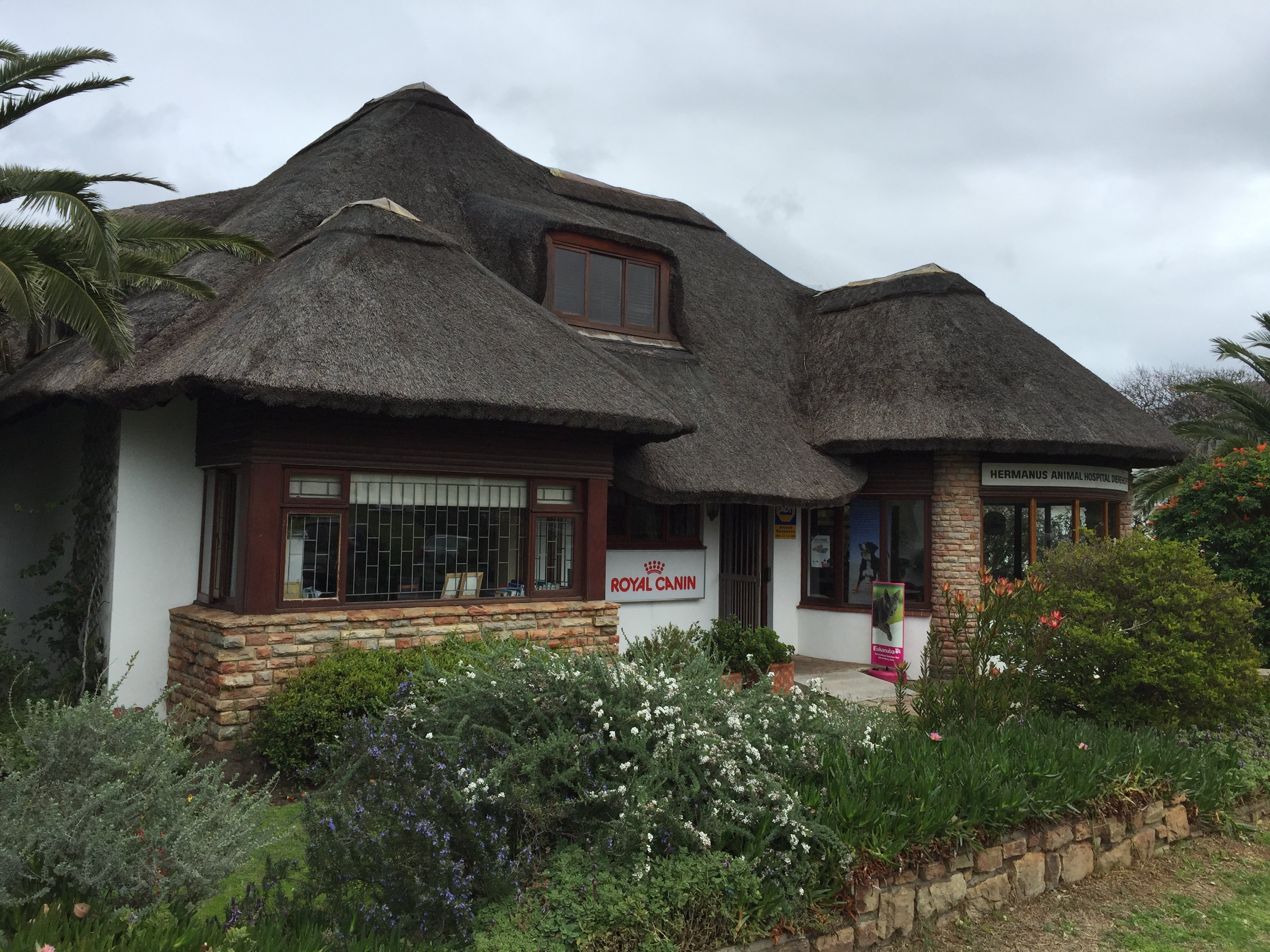 Hermanus Animal Hospital | Xplorio Hermanus