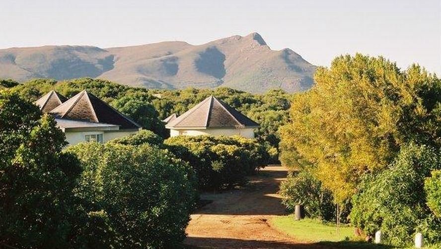 Flamingo Lake | Xplorio Hermanus