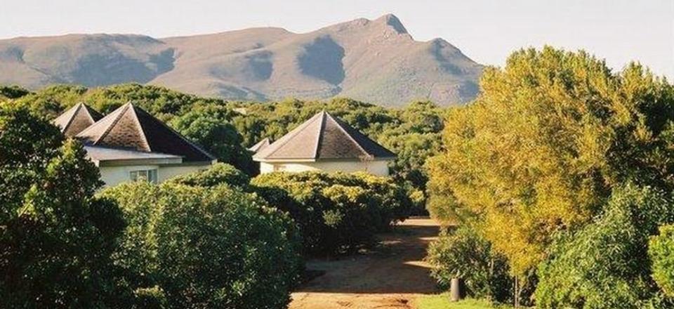 Flamingo Lake | Xplorio Hermanus