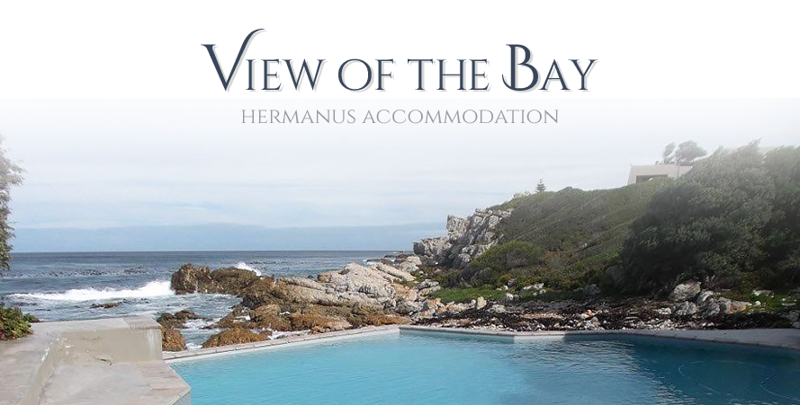 View of the Bay | Xplorio Hermanus