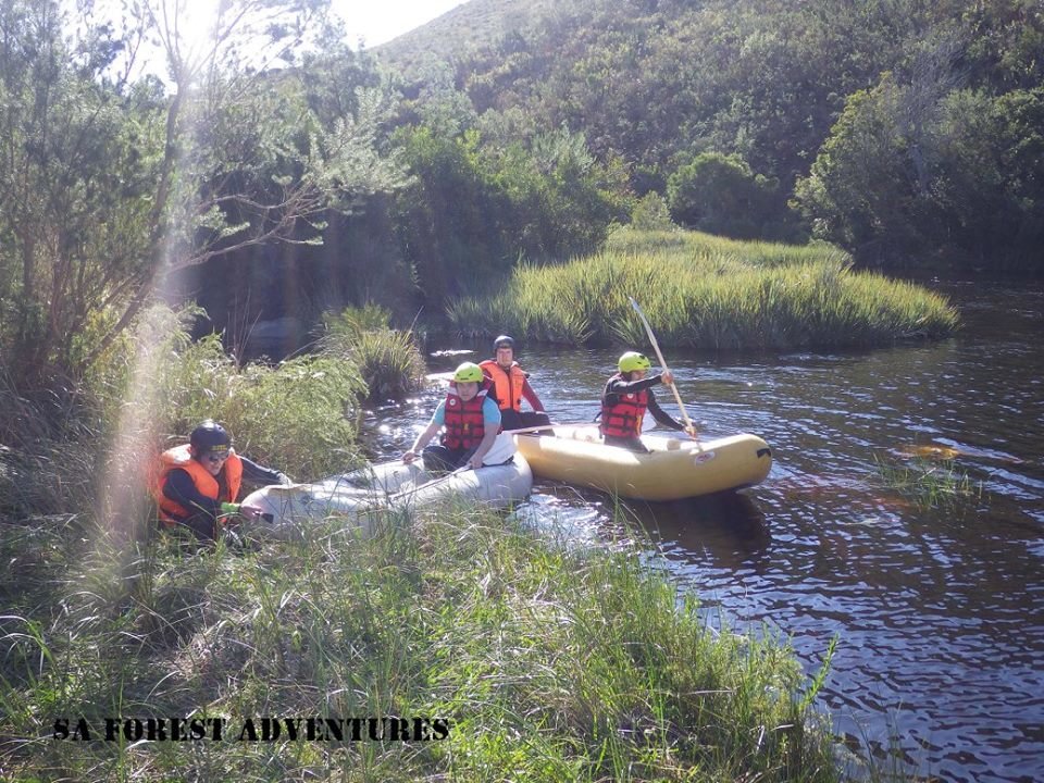 SA Forest Adventures Kleinmond | Xplorio Kleinmond