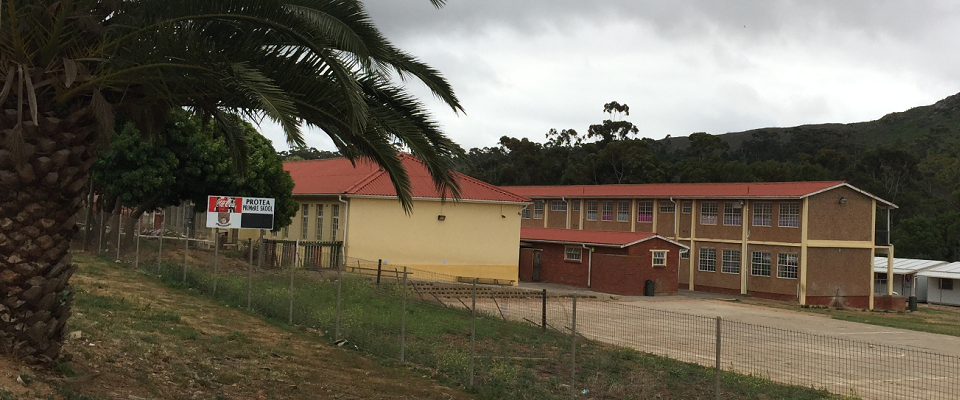 Protea Primary School | Xplorio Napier