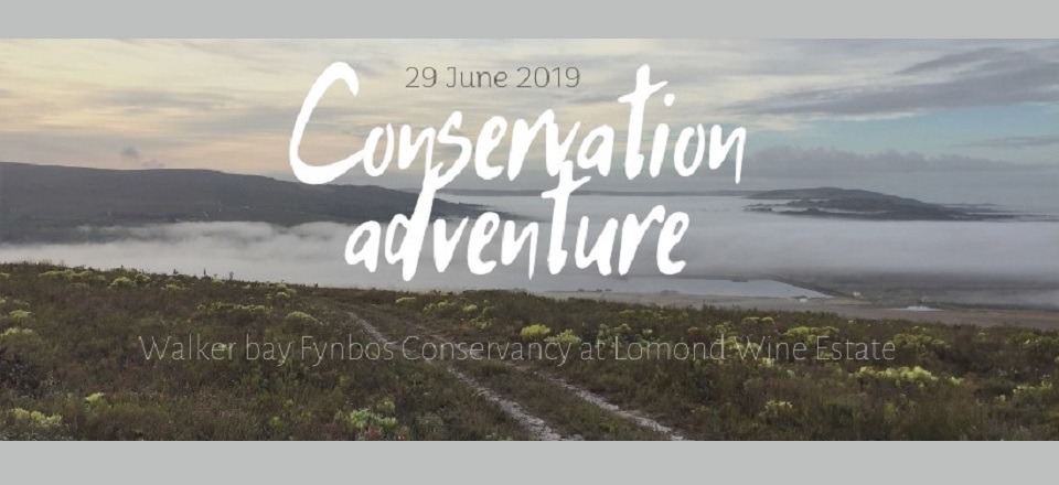 Conservation Adventure Event | Xplorio Gansbaai