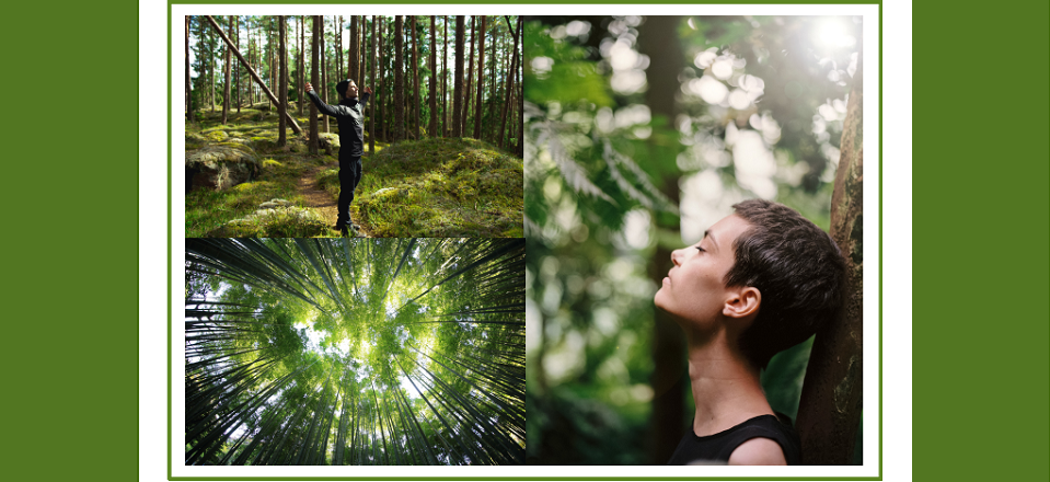 Heart Alignment Retreat | Xplorio Gansbaai