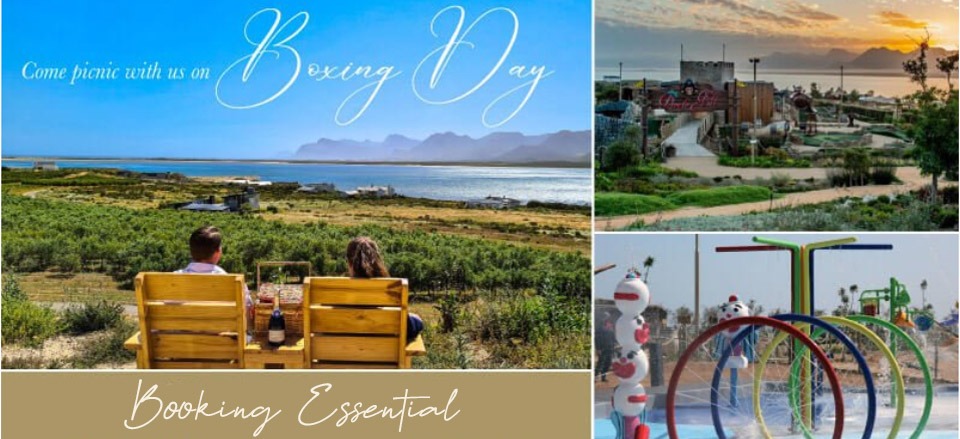 Boxing Day Picnic 2021 | Xplorio Hermanus