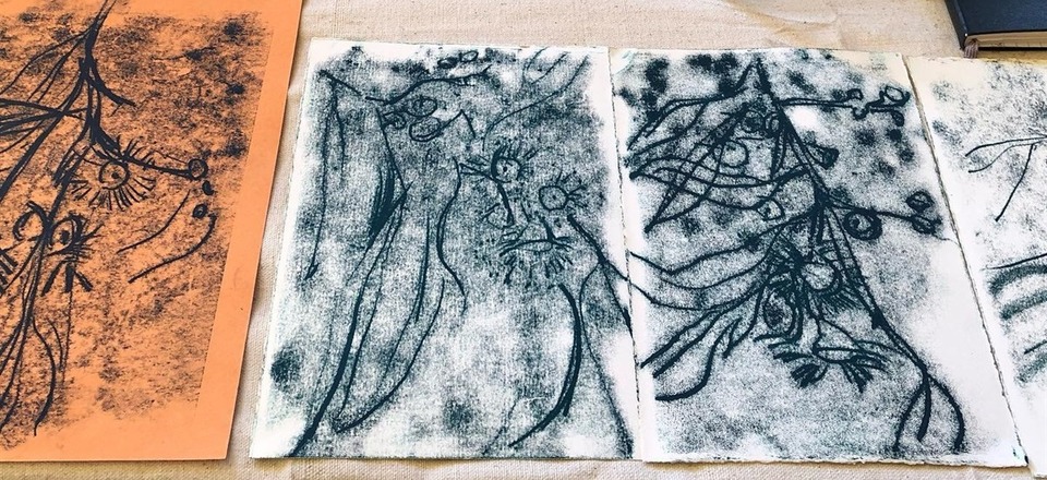 Botanical Printmaking | Xplorio Pringle Bay & Rooi Els