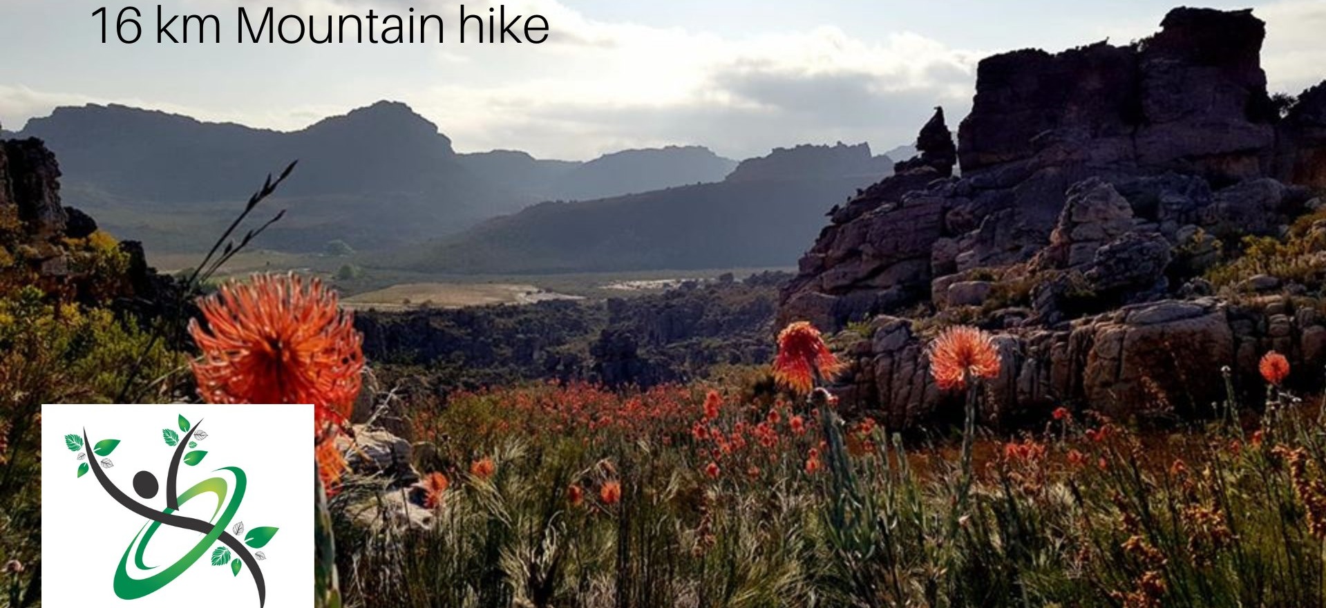 Hermanus Mountain Summit with 360º Views | Xplorio Hermanus