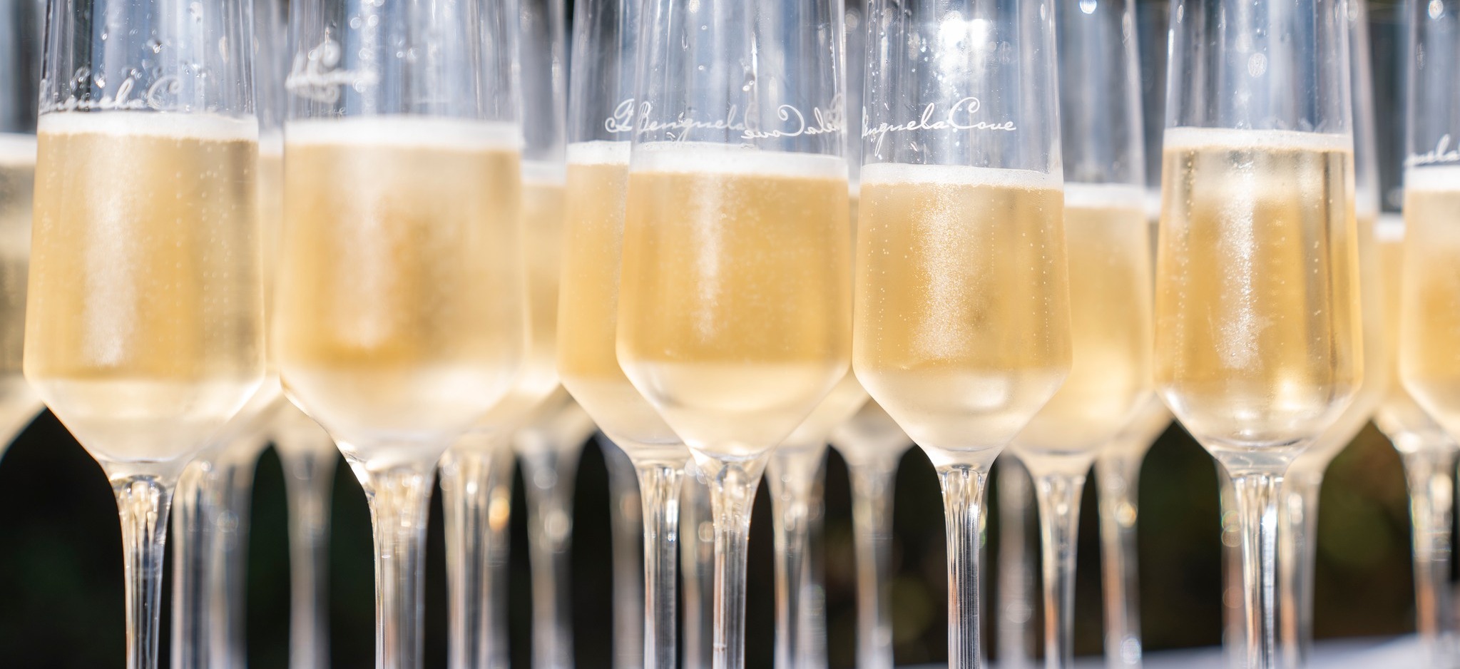 Bottomless Bubbly & Bottomless Mimosas - Live Acoustic Singer | Xplorio ...