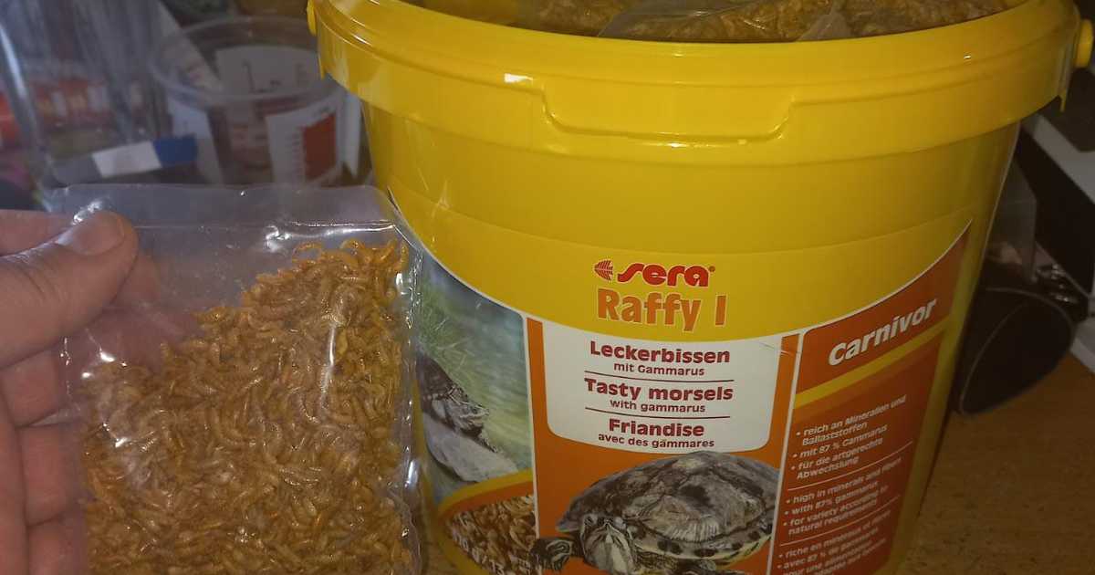 Sera Raffy I: Gammarus Mix - The Pet Grocer - Xplorio™ Gansbaai