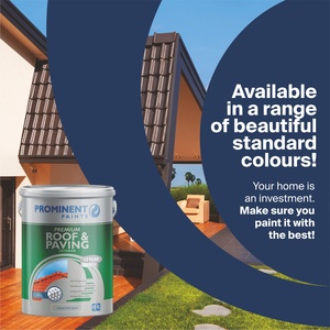 Prominent Paints: Premium Roof and Paving Paint Special - Wilkoo ...