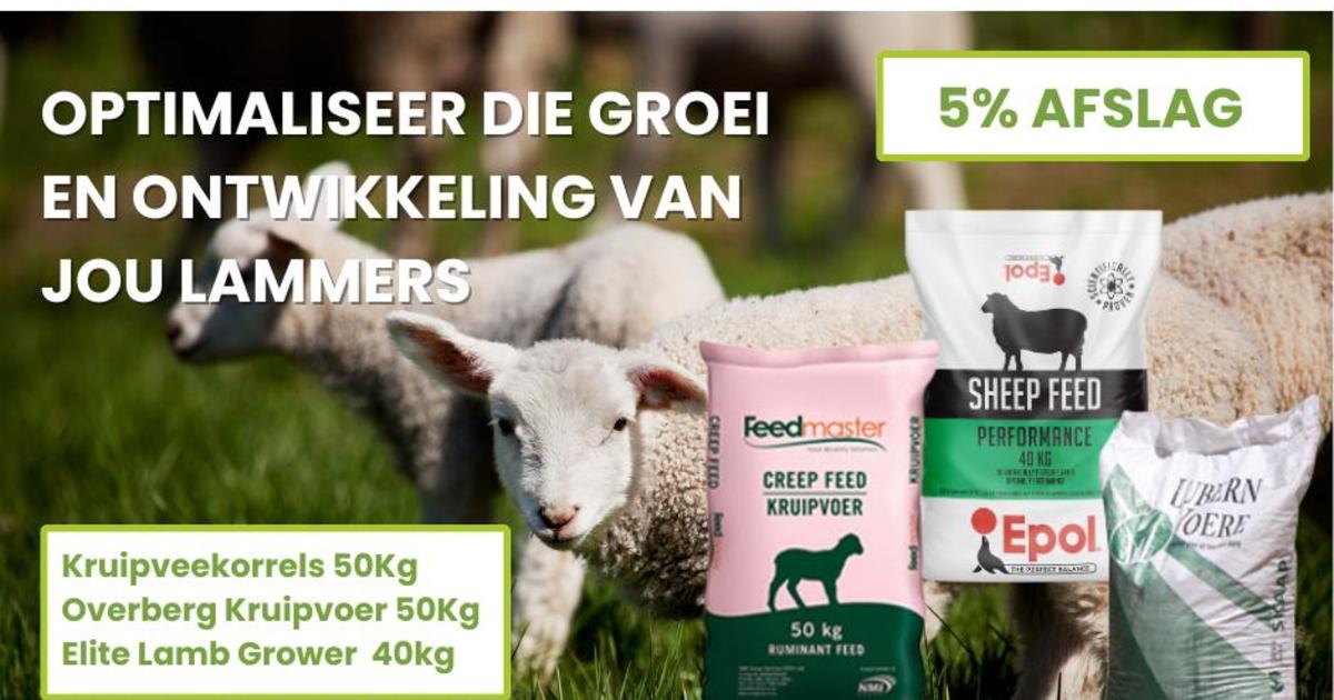 Lamb Growth Special: 5% OFF - Overberg Agri - Xplorio™ Stanford