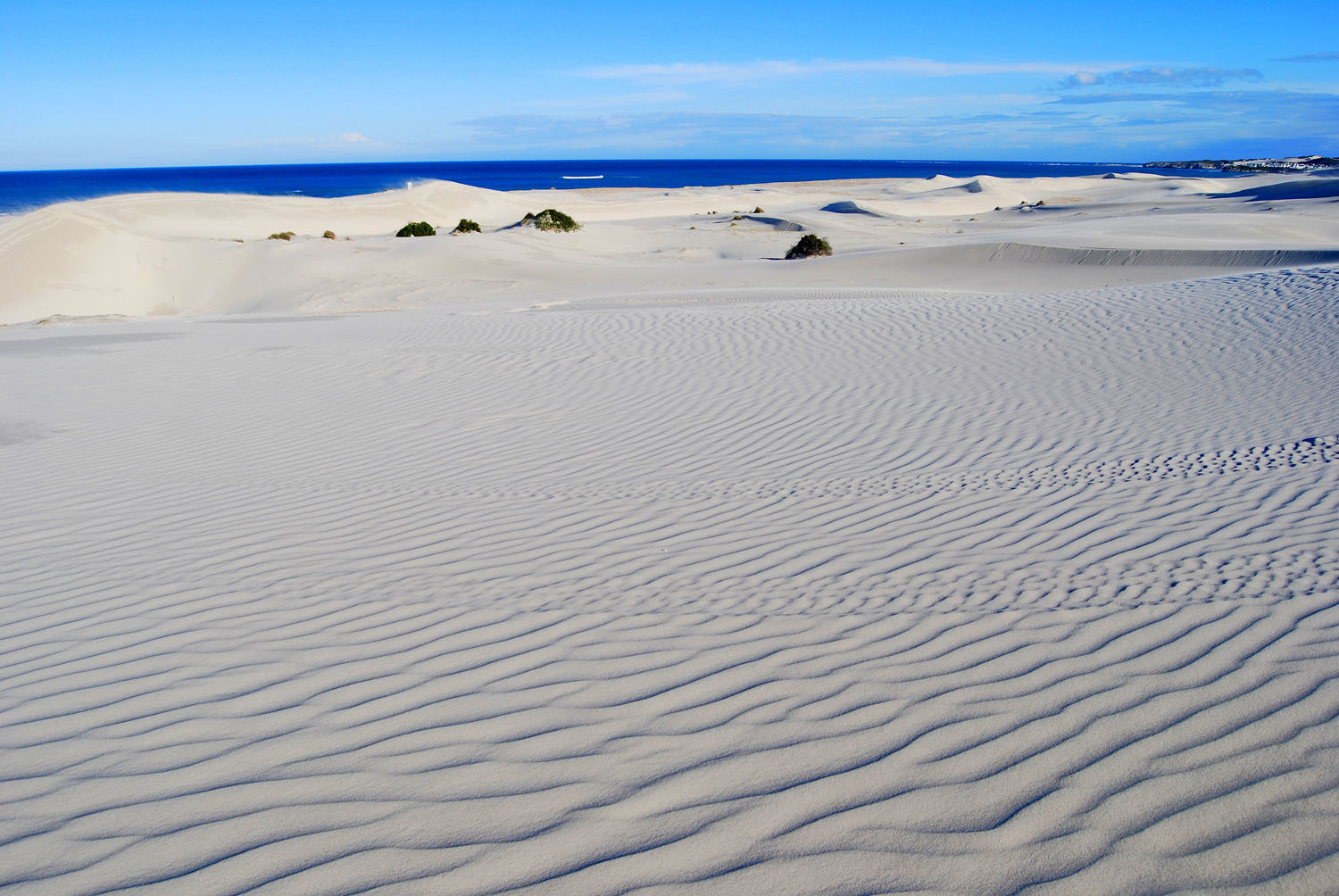 Image and Video Galleries of Arniston | Xplorio Arniston