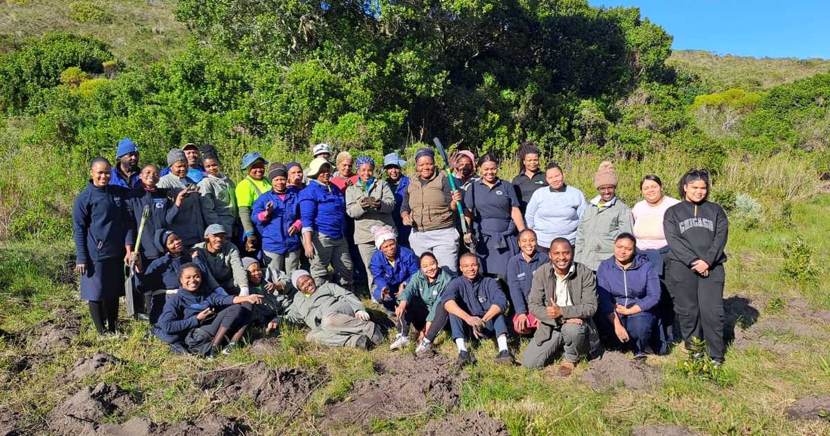 Die DANAS’ Support Leads to 728 Trees Planted! - Grootbos Foundation ...