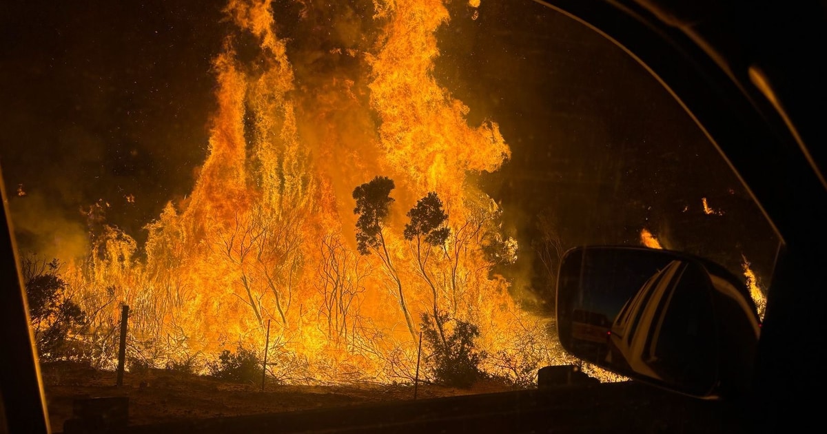 Hermanus Blog - FIRE SEASON WARNING! Be safe. Be vigilant. - Xplorio™