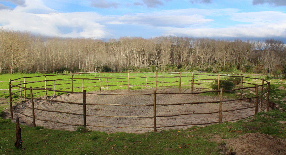 Poplar Paddocks Horse Retirement Livery | Xplorio Stanford