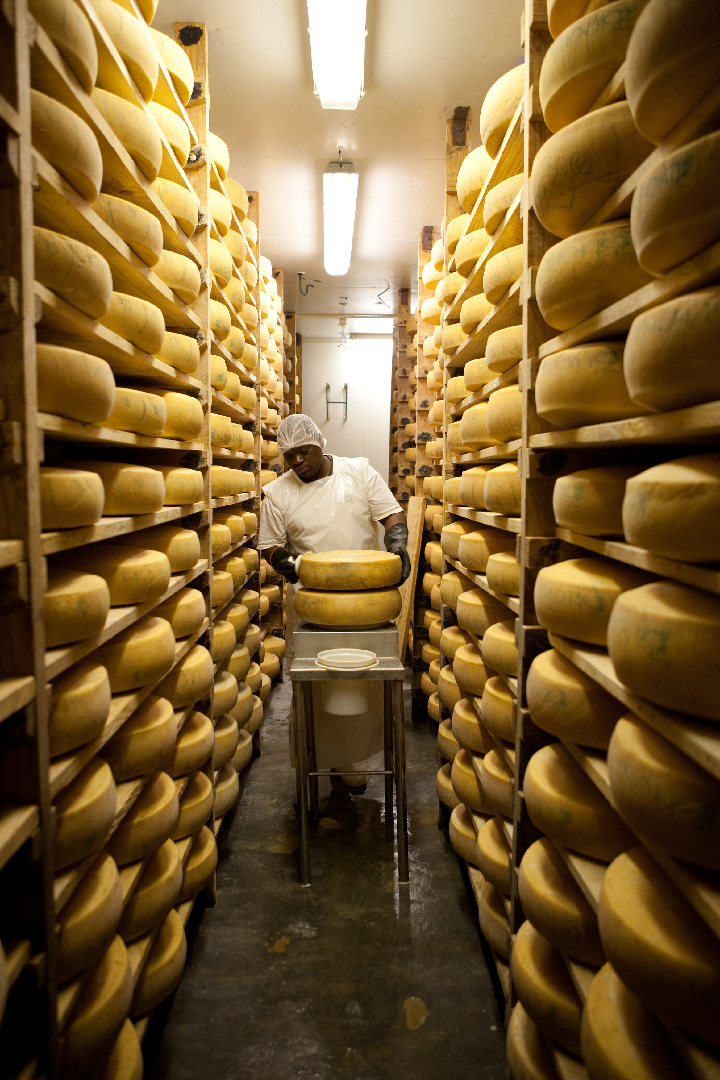 Klein River Cheese | Xplorio™ Stanford