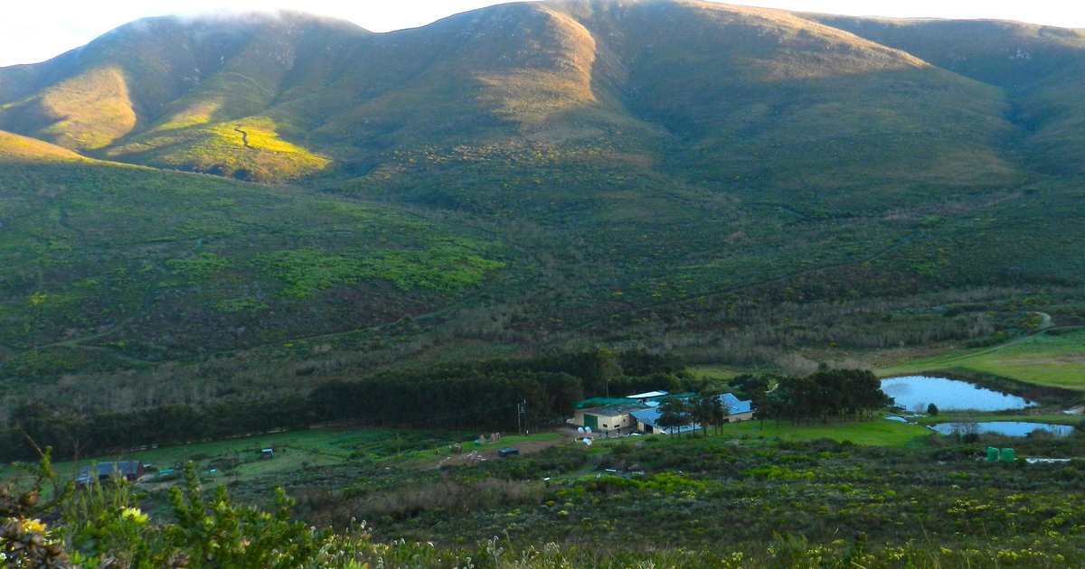 15 Jaar vir Flower Valley | Xplorio Gansbaai