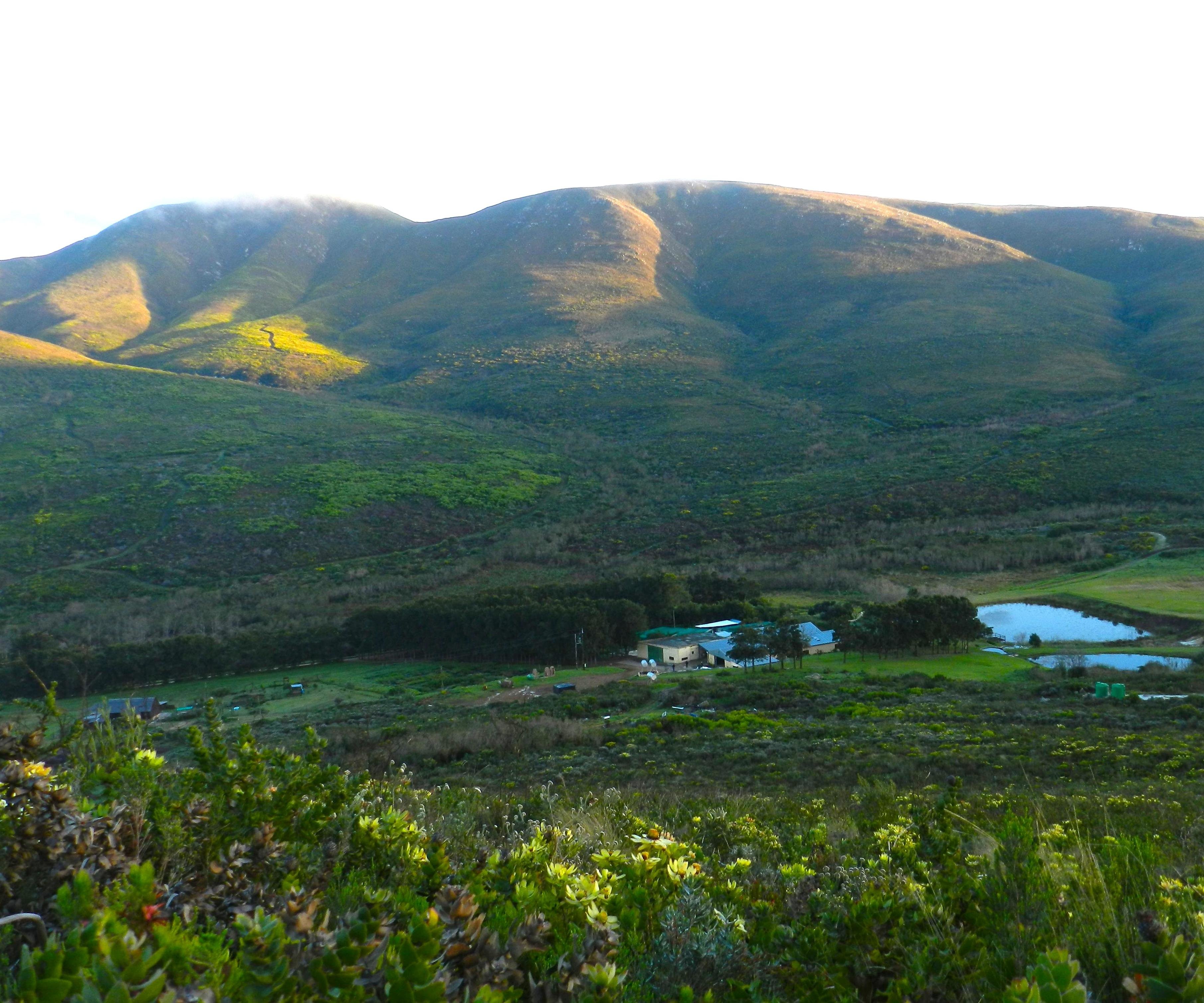 15 Jaar vir Flower Valley | Xplorio Gansbaai