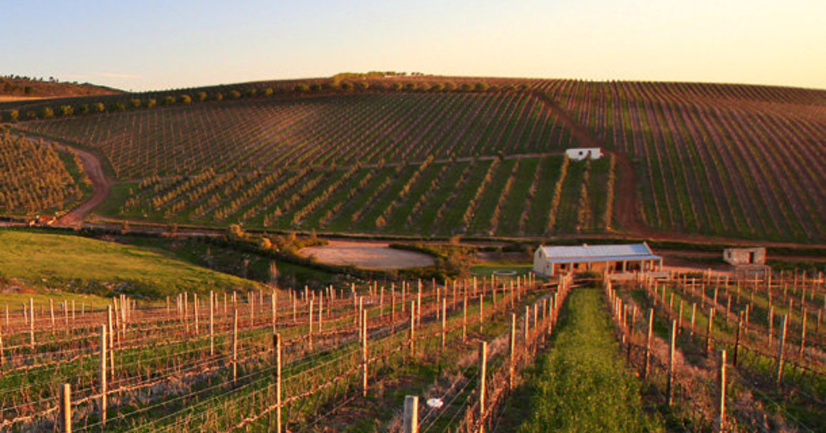 The Hemel-en-Aarde Valley | Xplorio Hermanus