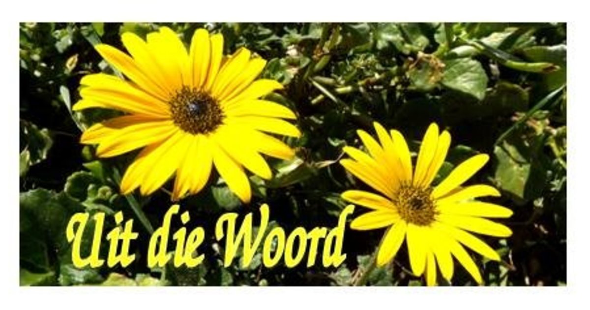 My Bybel en my selfoon | Xplorio Gansbaai