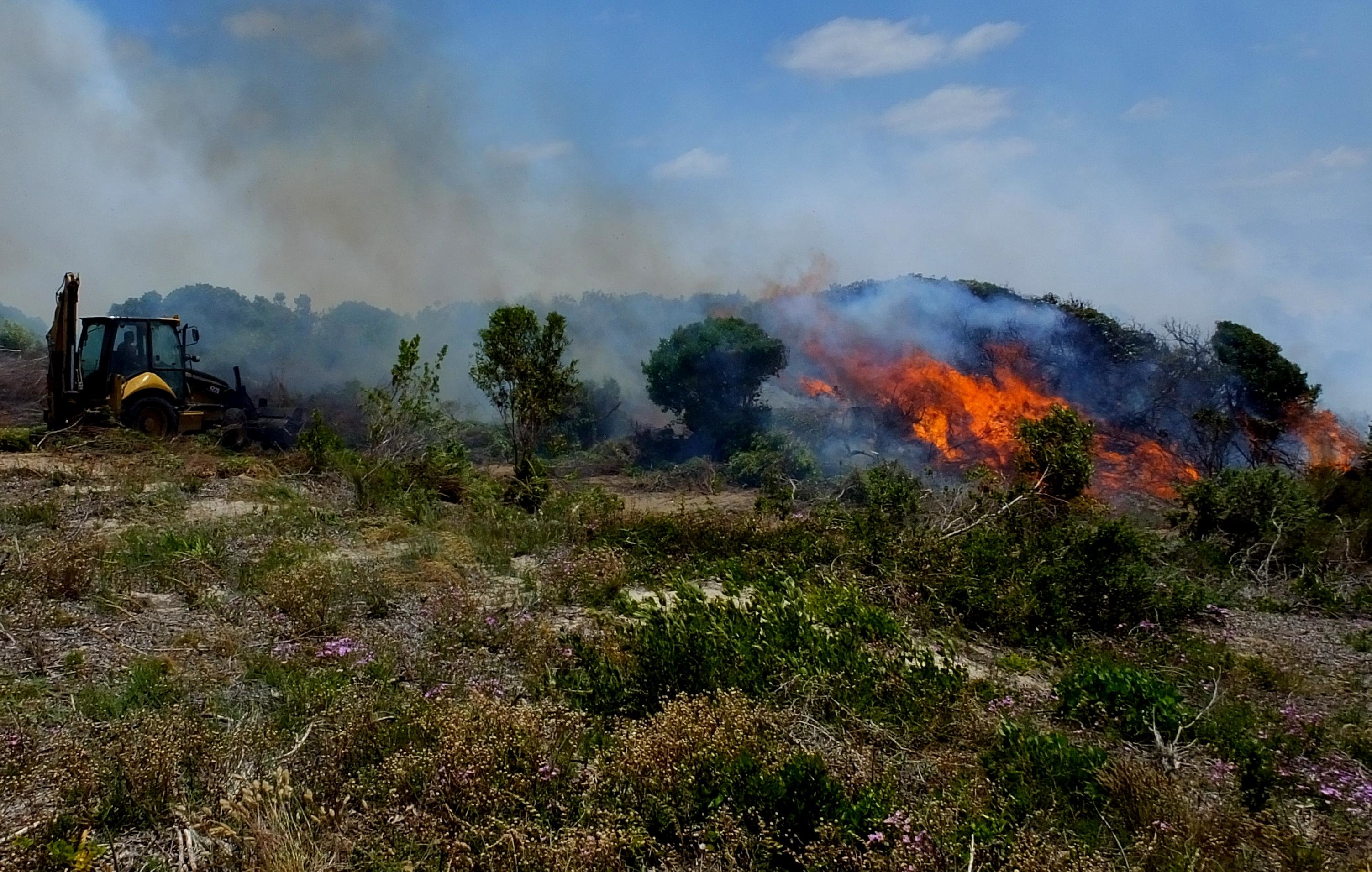 Gansbaai Image Gallery - Veldbrand - Xplorio™