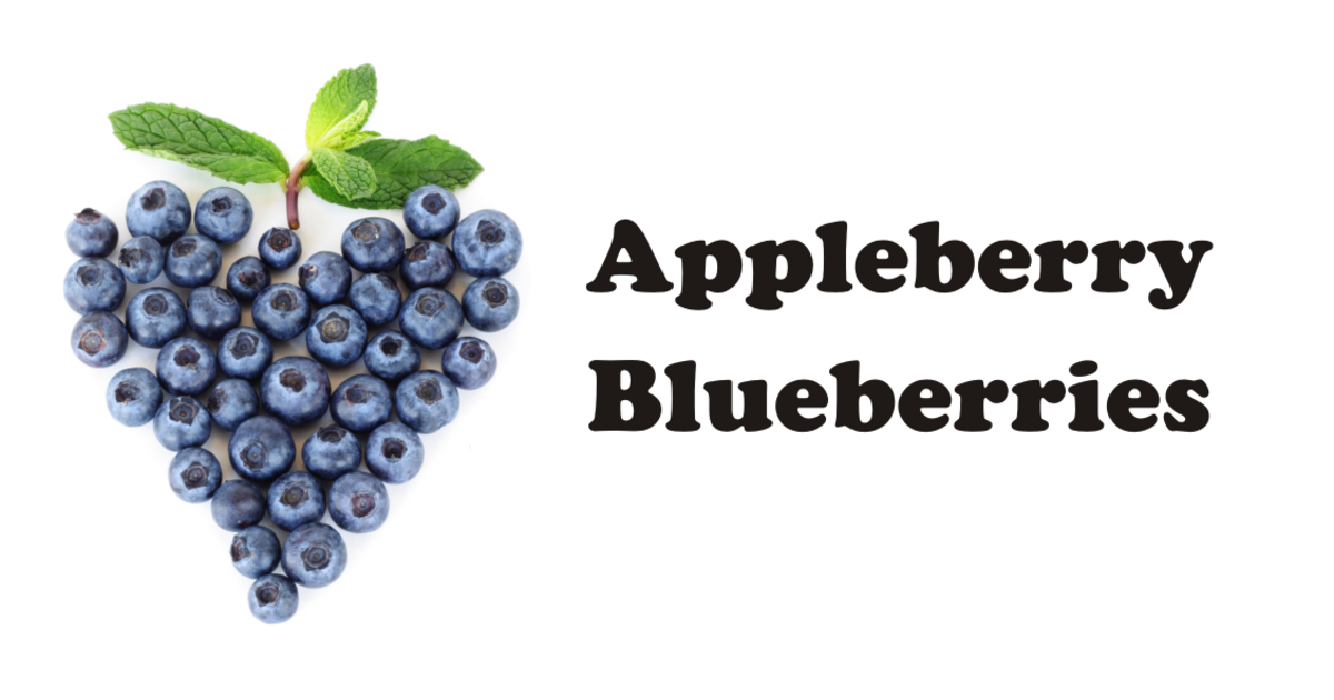 Appleberry Farm | Xplorio Gansbaai