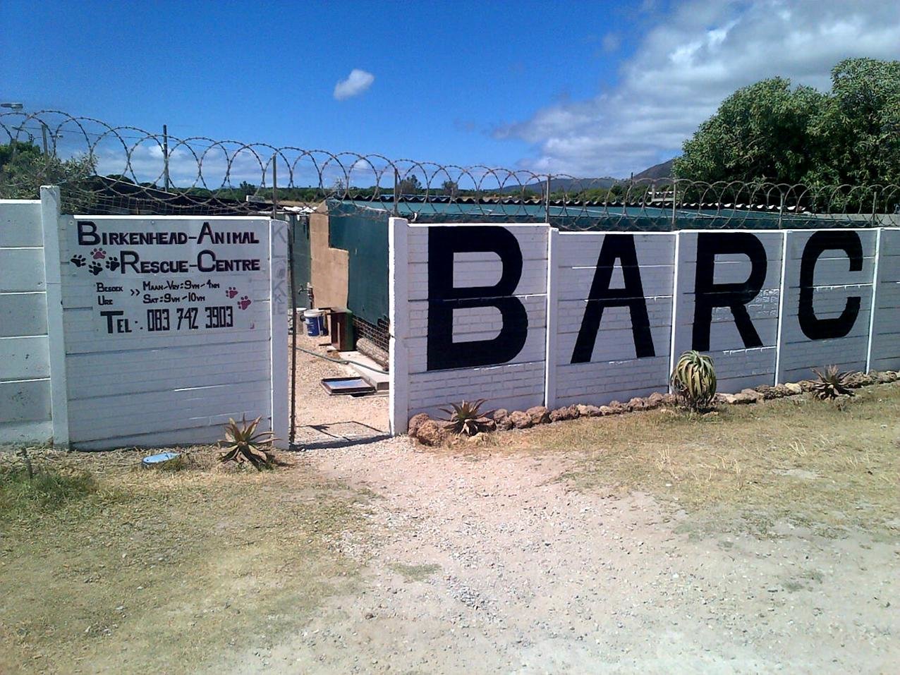 BARC Nuus | Xplorio Gansbaai