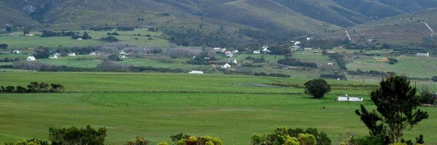 Baardskeerdersbos Huiseienaarsvereniging | Xplorio Gansbaai