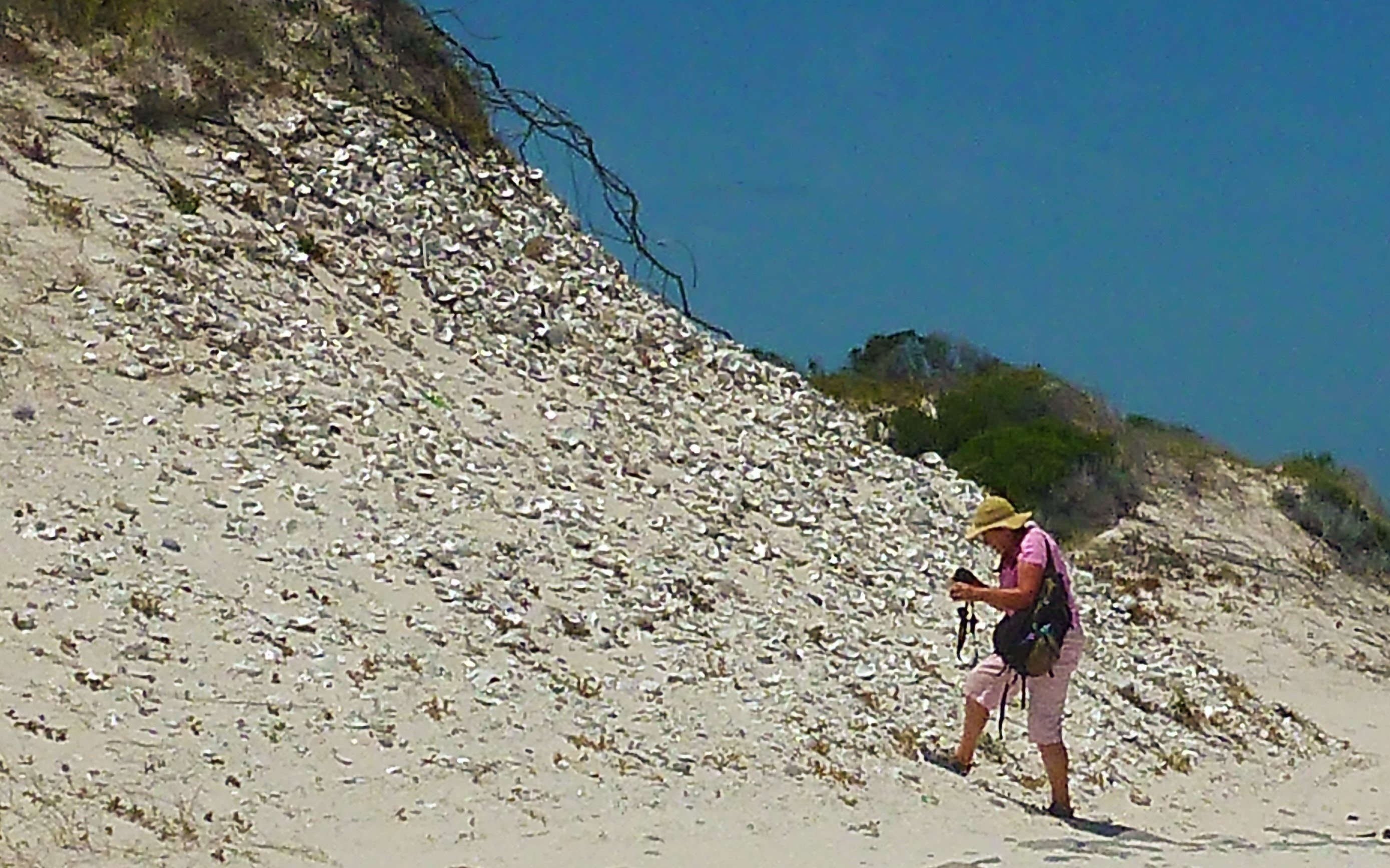 The Perlemoen Trail | Hiking Trails in Gansbaai | Xplorio™ Gansbaai