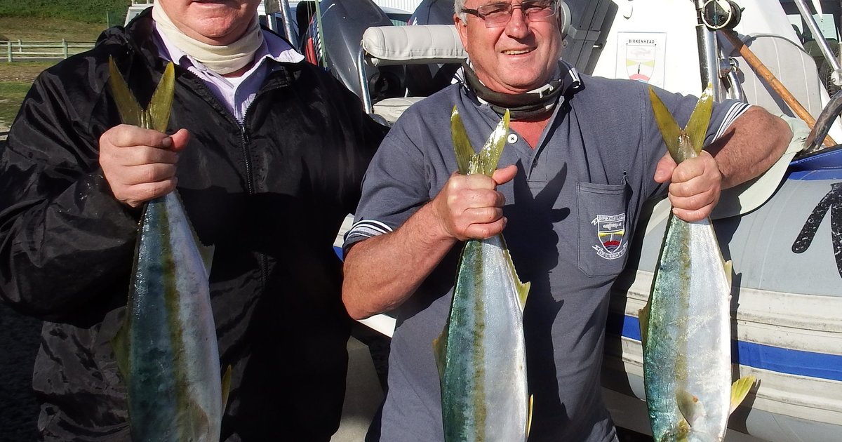 Birkenheaders tevrede | Xplorio Gansbaai