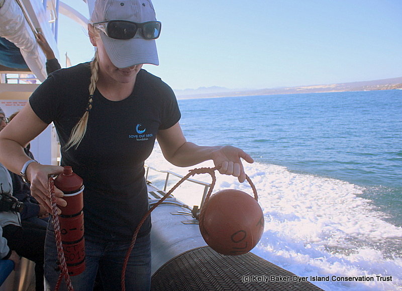 Deployment Succcess | Xplorio Gansbaai