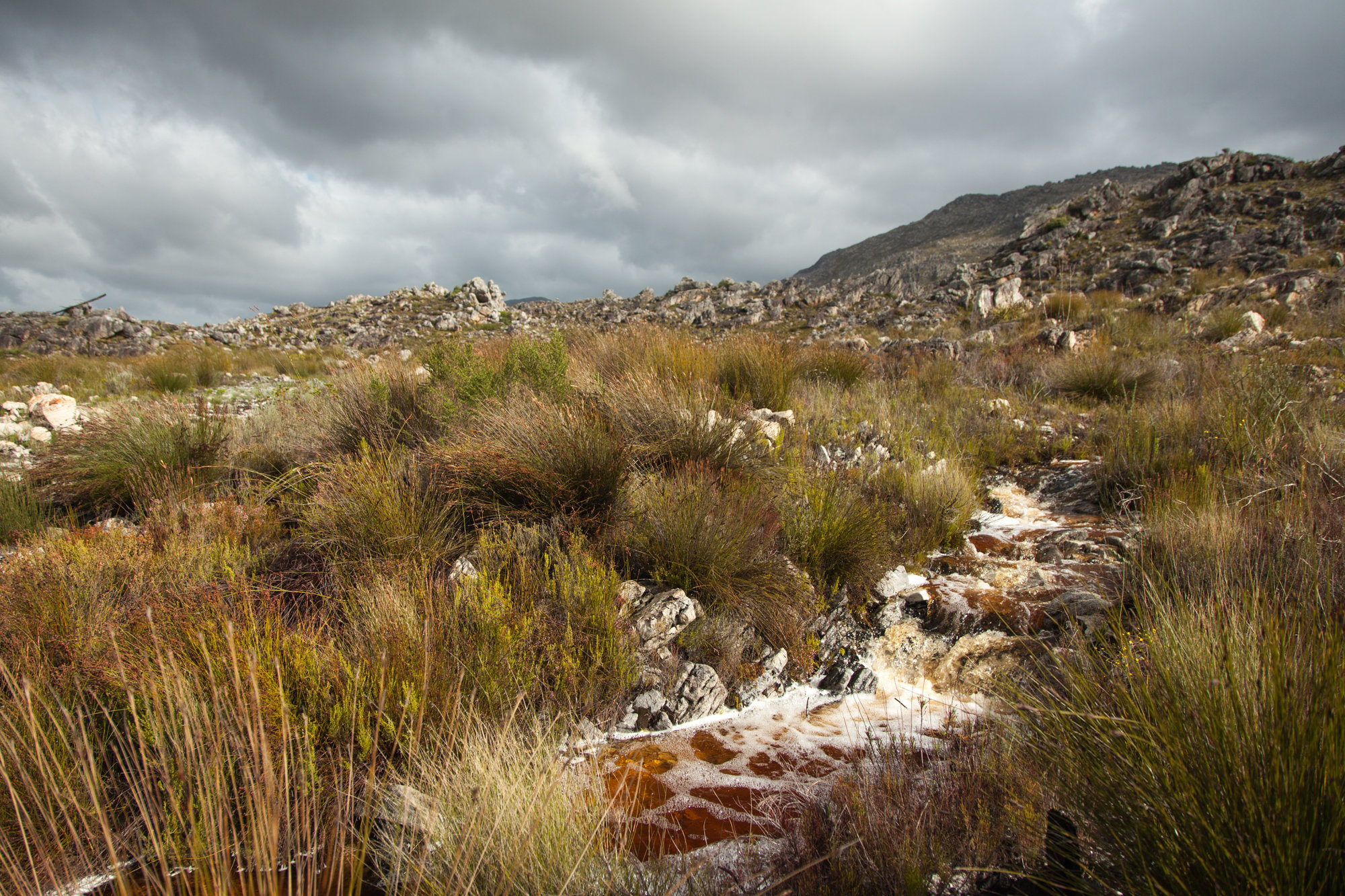 Grabouw Landscapes Images | Xplorio Grabouw