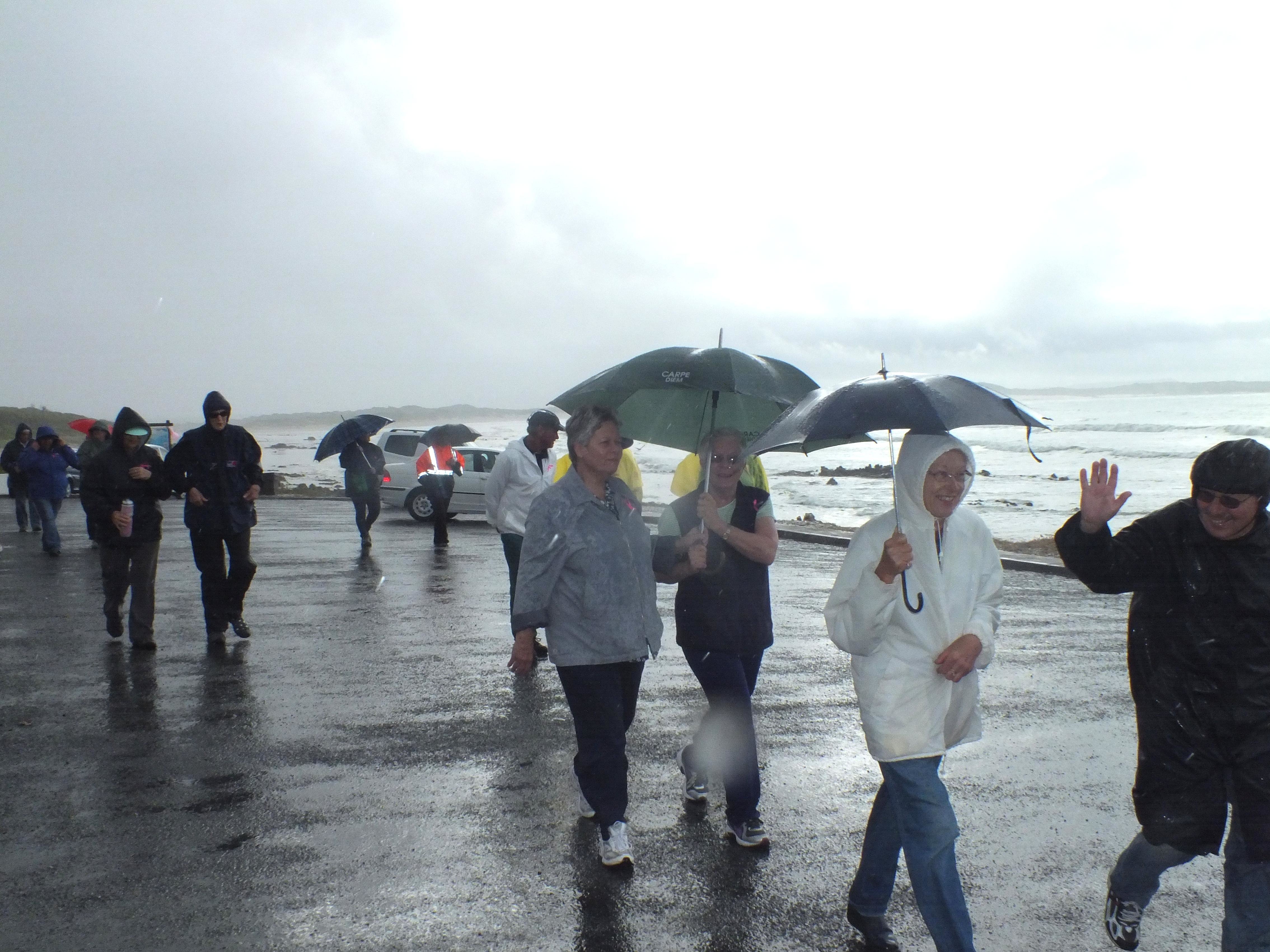 Gansbaai Weekly Updates - Borskanker Staptog - Xplorio™