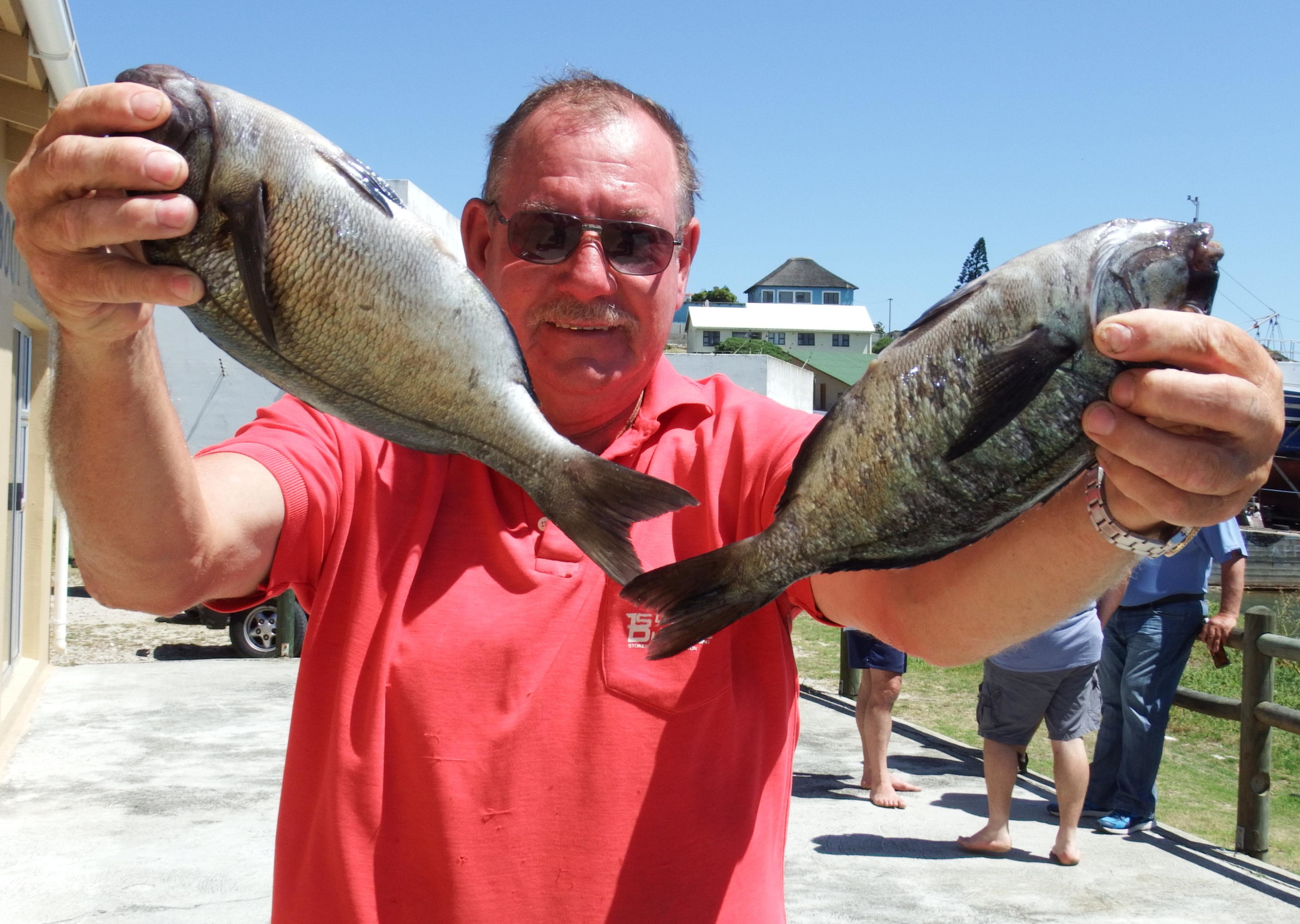 Gansbaai Weekly Updates - Swak vangstes - maar darem - Xplorio™