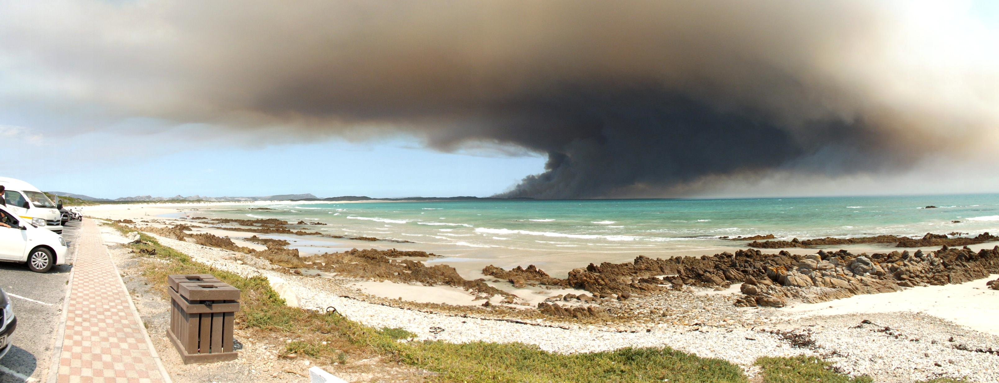 VELDBRANDE eis sy TOL | Xplorio Gansbaai