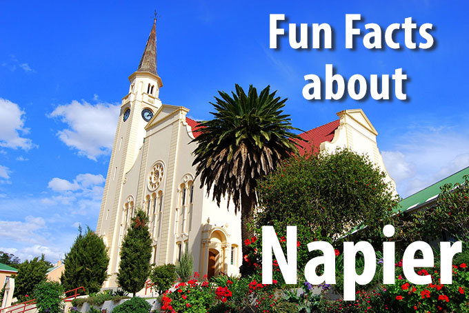 10 Fun Facts about Napier | Xplorio Napier