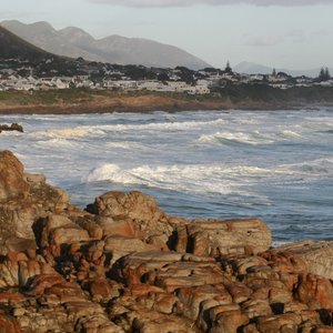 History Facts about Hermanus | Xplorio Hermanus