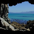 De Kelders Caves in Gansbaai | Xplorio™ Gansbaai