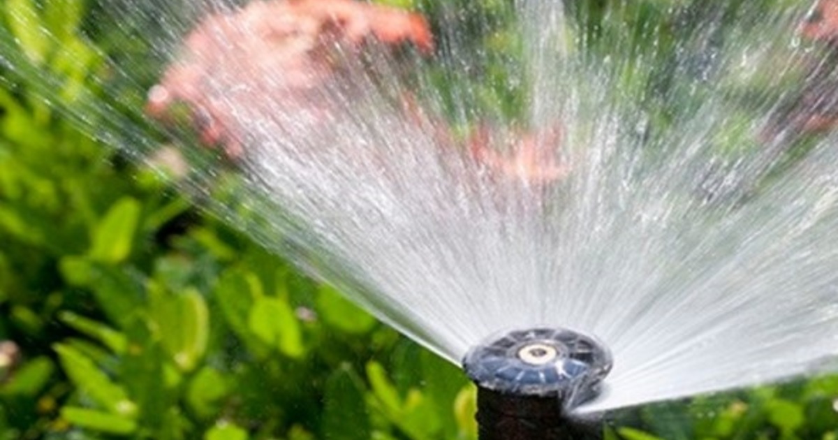 Home Irrigation System - Eco-Flo Irrigation - Xplorio™ Gansbaai