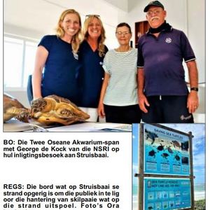 Red ’n Seeskilpad Só - Suidernuus / Southern Post - Xplorio™ Bredasdorp